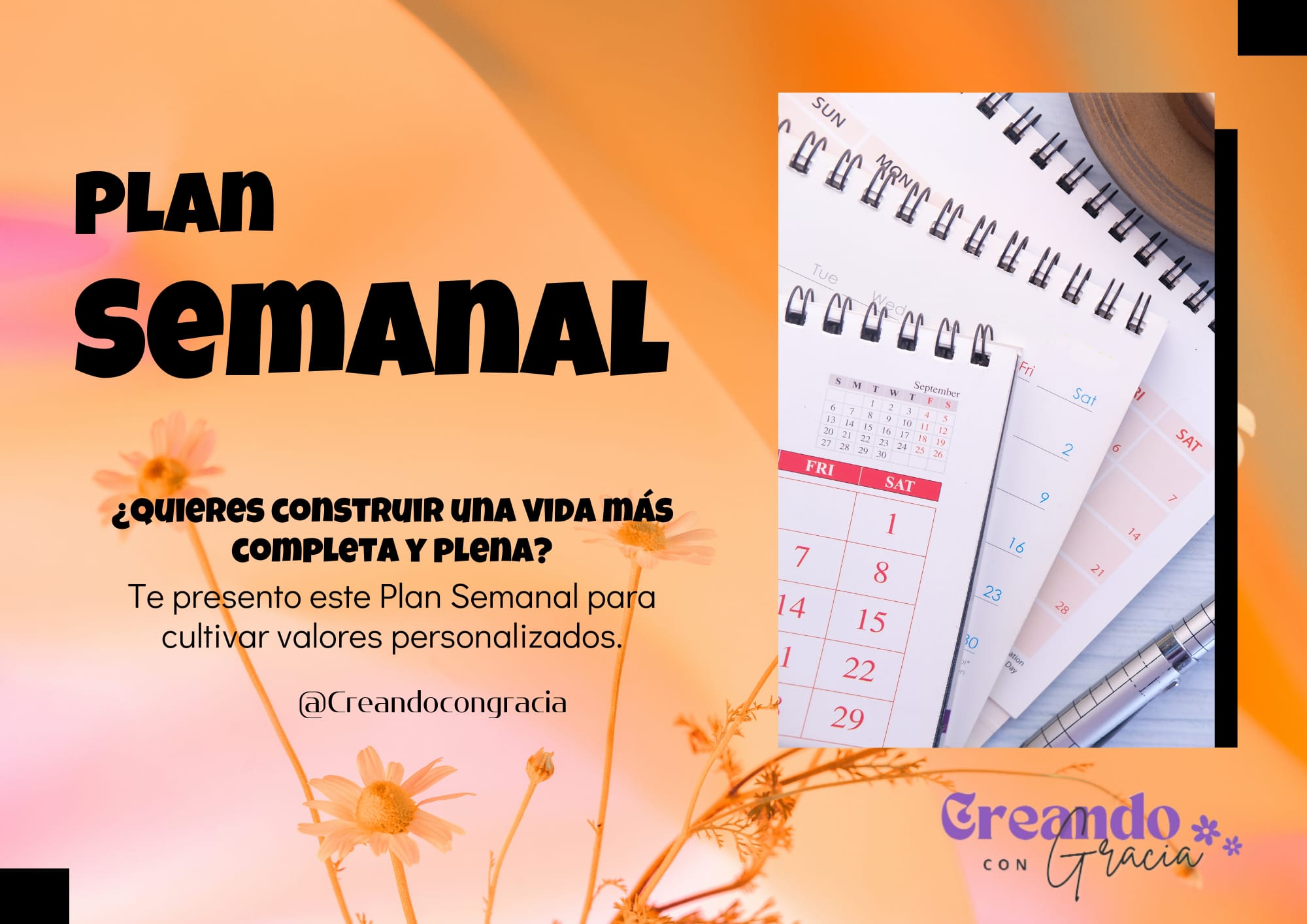 Plantilla Plan Semanal para gestionar tus hábitos - Cindy Michelle ...