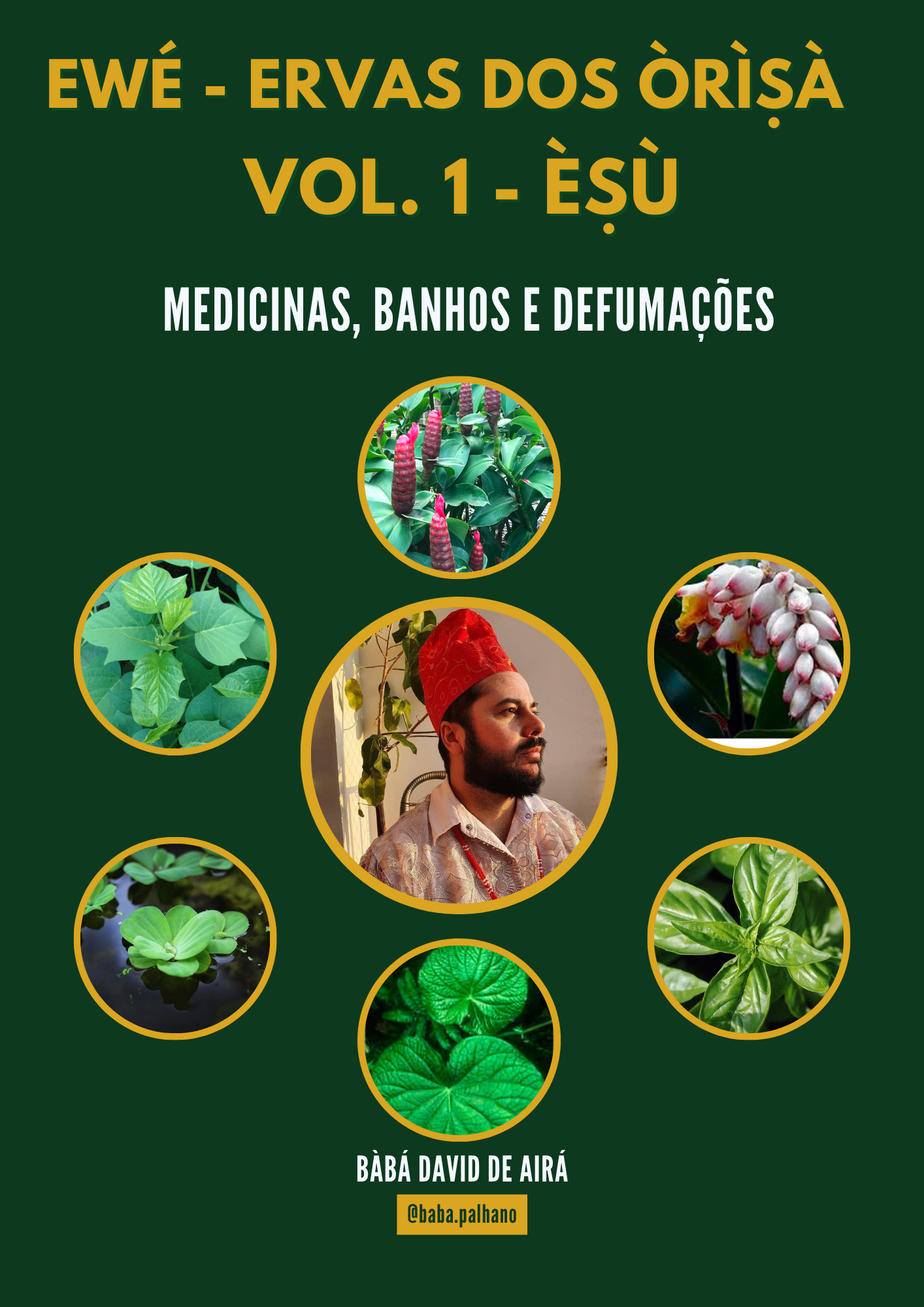 EWÉ - ERVAS DOS ÒRÌSÀ - VOL. 1 - ÈSÙ - Bàbá David de Airá | Hotmart