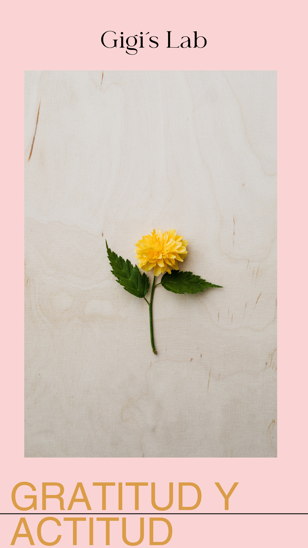 Gratitud y Actitud - Nadia Gihan El Halabi Farage | Hotmart