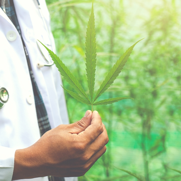 Introdução à Medicina Canabinoide - IVI DS | Hotmart