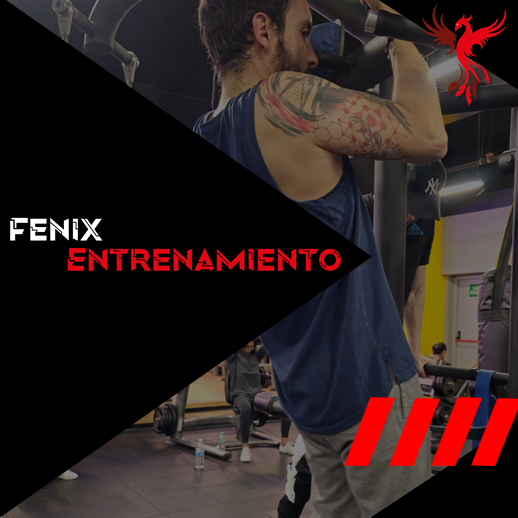 🔥 Renace con fuerza: Transforma tu cuerpo en 30 días con un plan ...