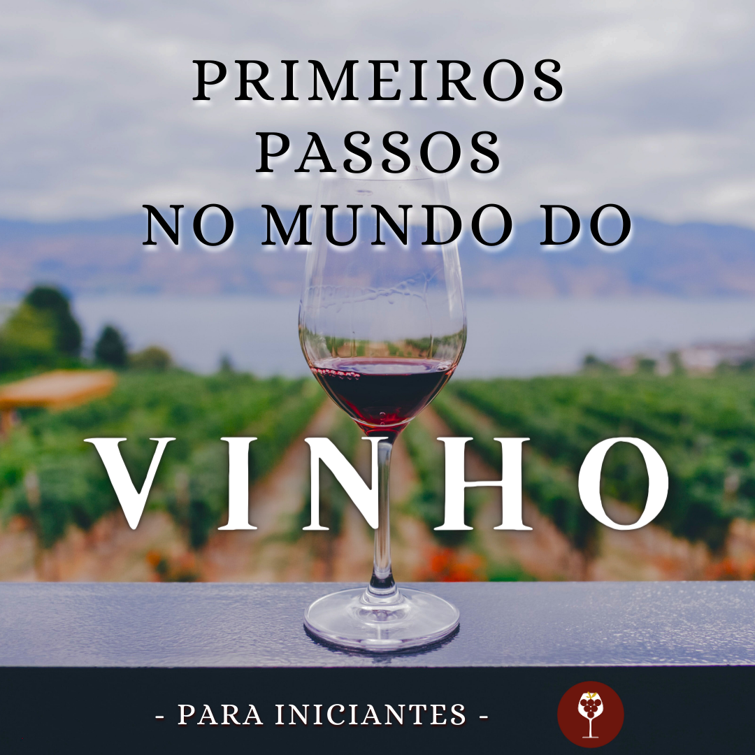 - Desvendando o Vinho: Guia Prático para Iniciantes - Arthur Amador...