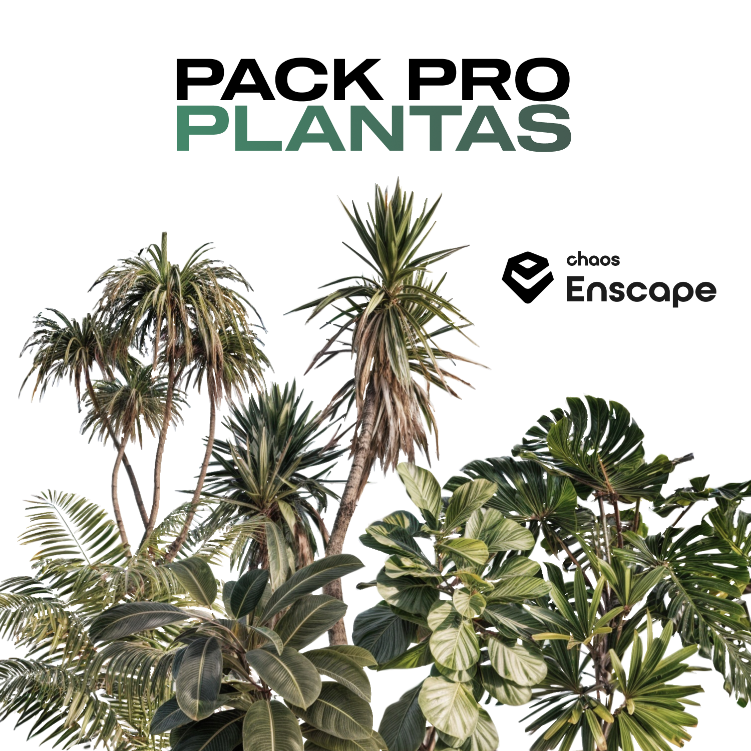 Pack de Plantas