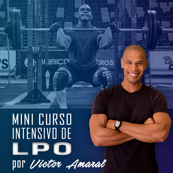 Mini Curso Intensivo Prático e Teórico de LPO