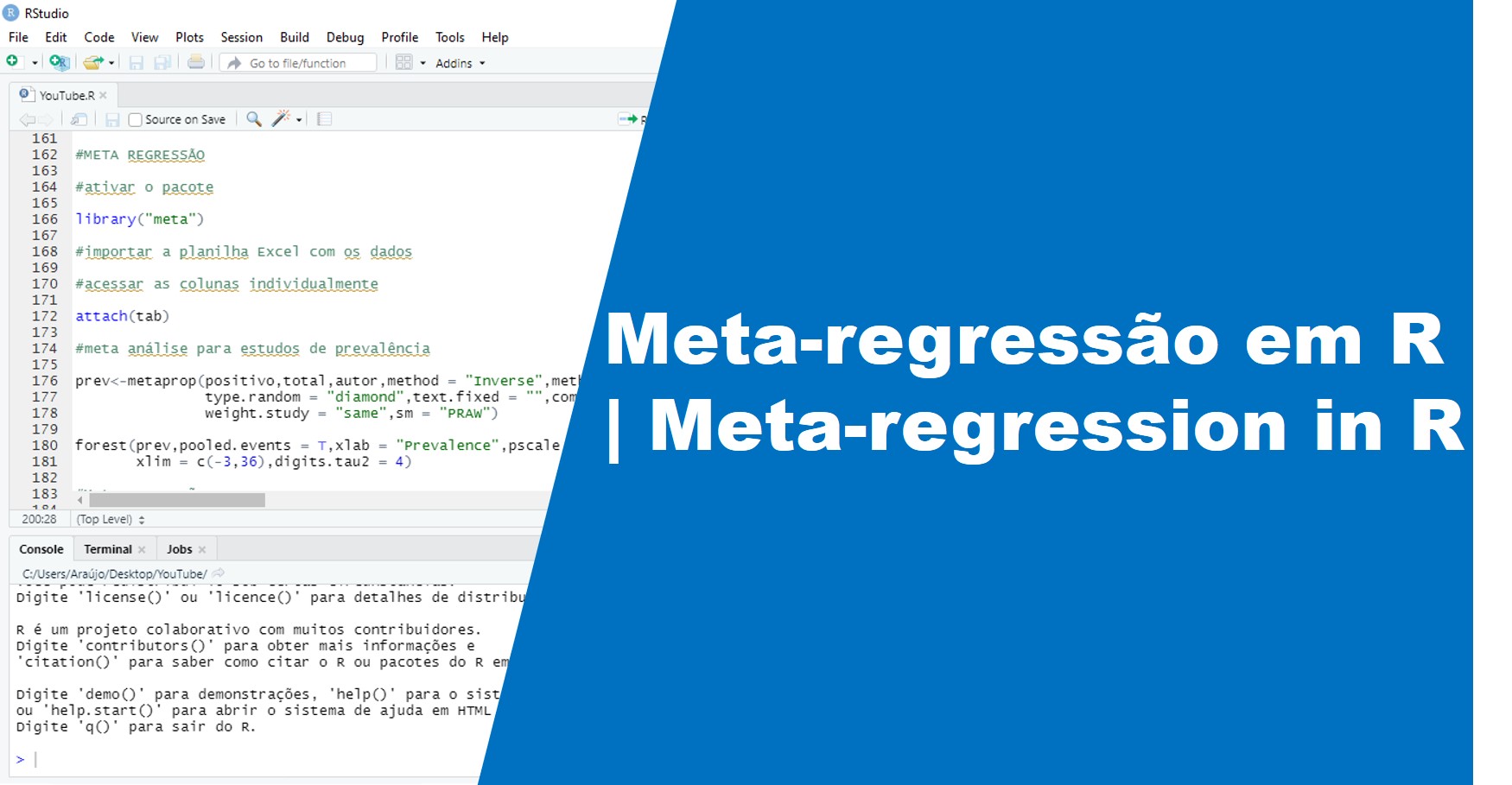 Meta-regressão em R | Meta-regression in R - A Rodrigues | Hotmart