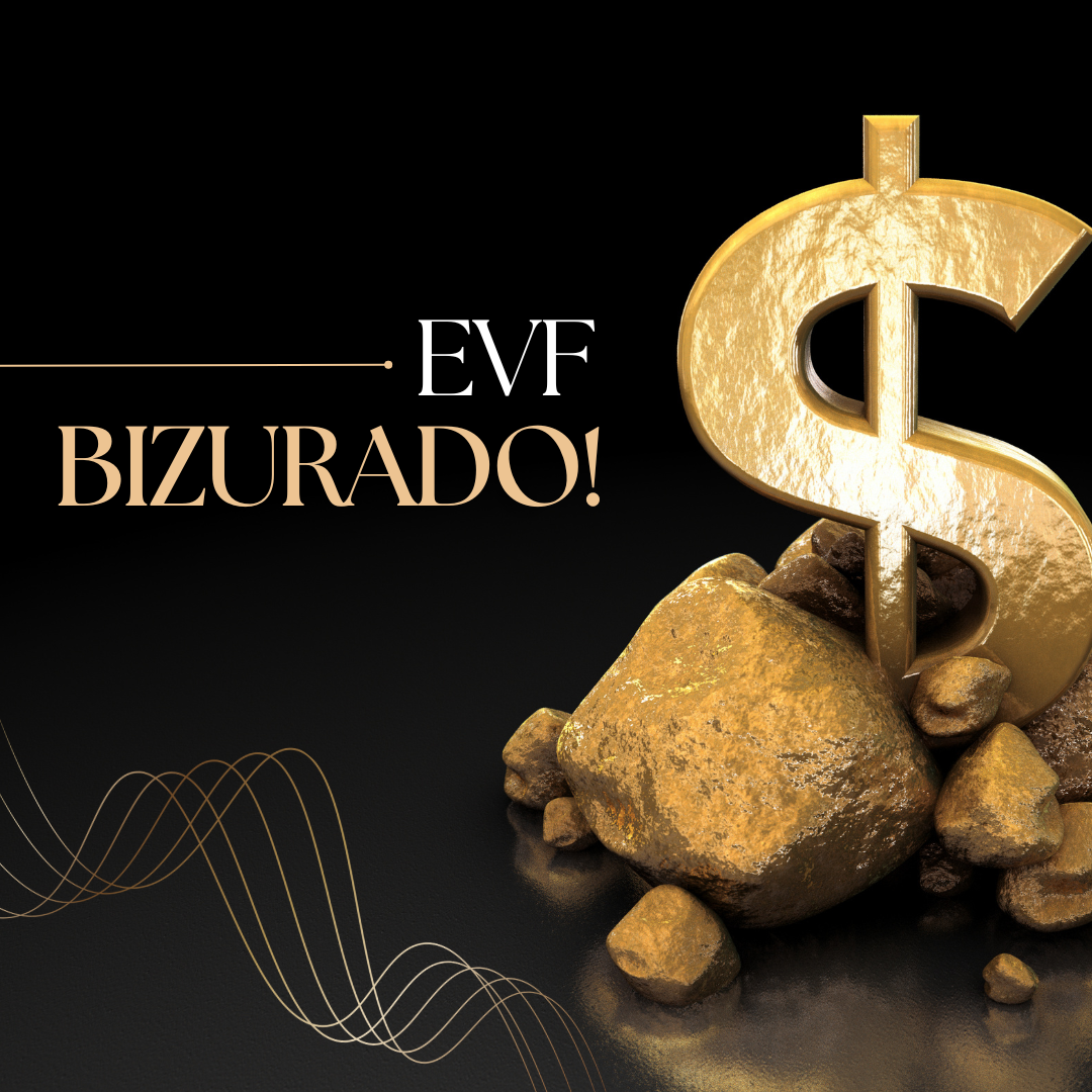 EVF Bizurado | Estudo de Viab. Financeira