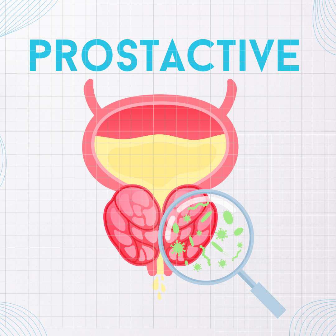 Método Prostactive - Ml Digital | Hotmart
