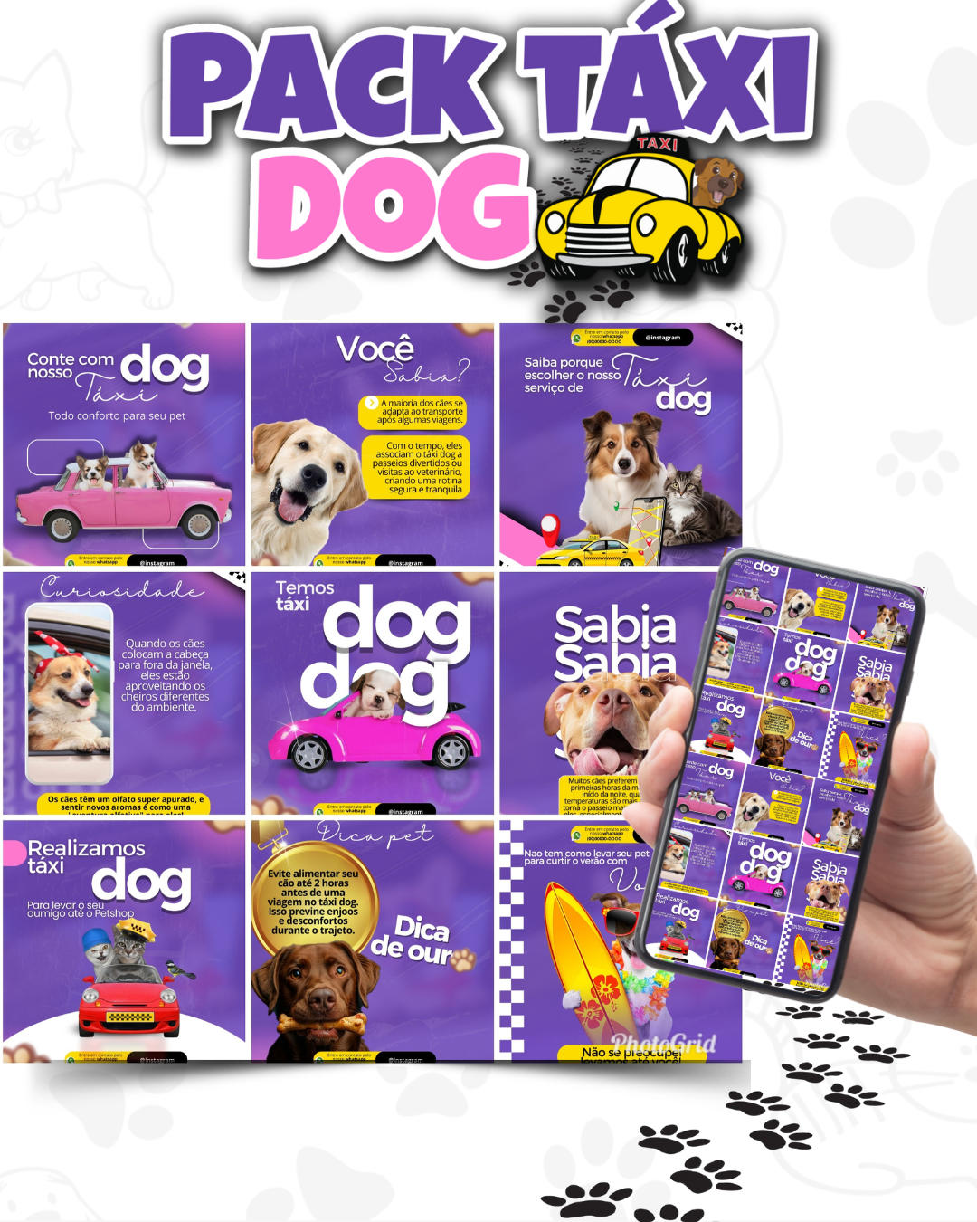 Pack táxi Dog - erica maria mendes de andrade | Hotmart