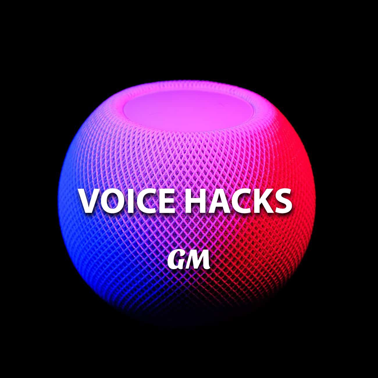 Voice Hacks