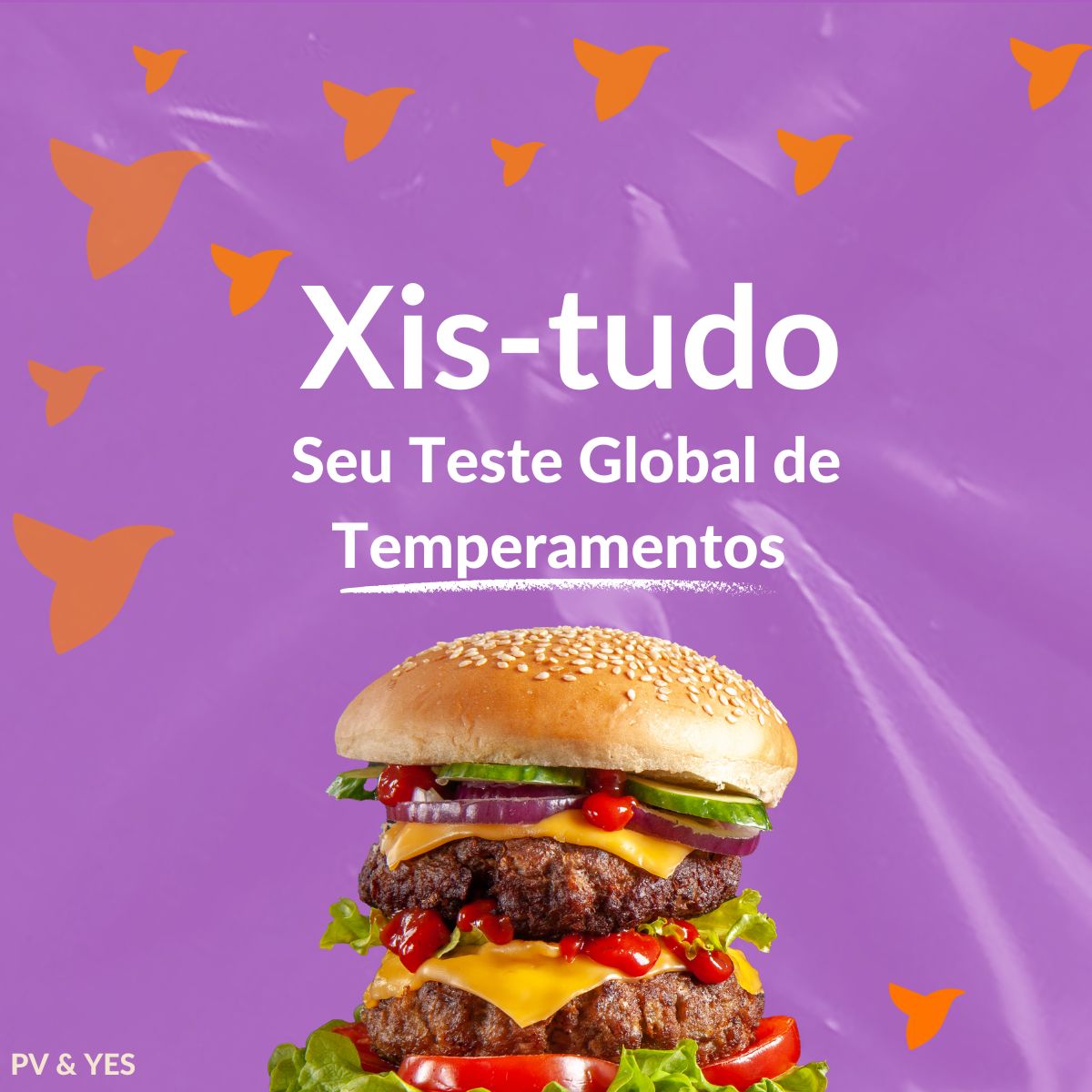 Análise de Temperamentos | Xis-tudo 🍔