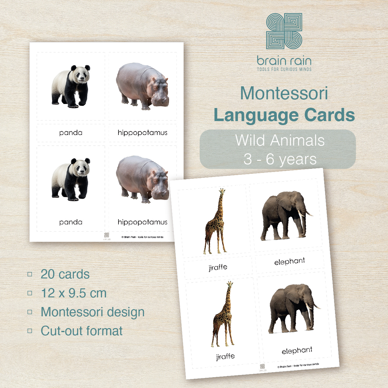 Language Cards – Wild Animals - Brain Rain | Hotmart