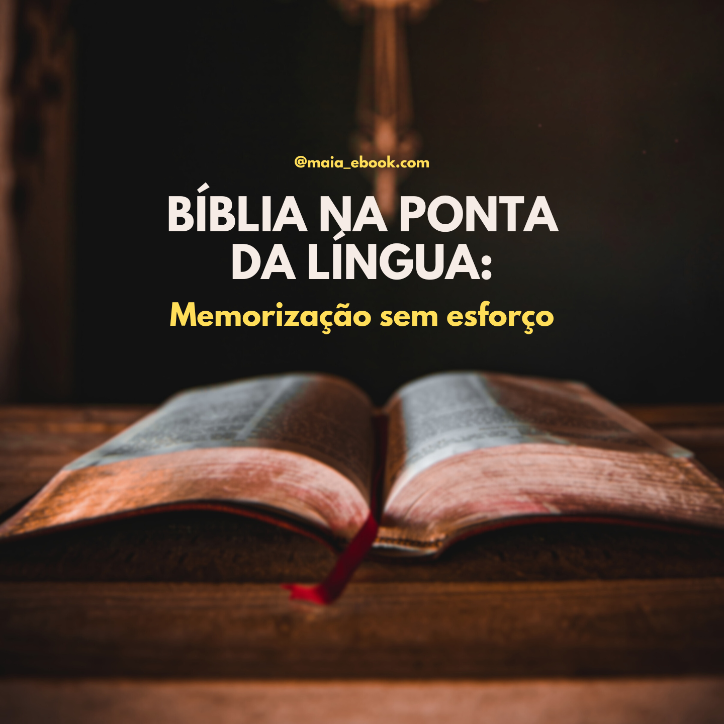 BIBLIA NA PONTA DA LINGUA; memorização sem esforço - Luiz Fernando ...