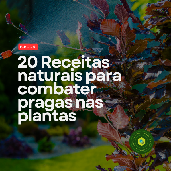 20 Receitas naturais para combater pragas nas plantas - Vida no Jar...