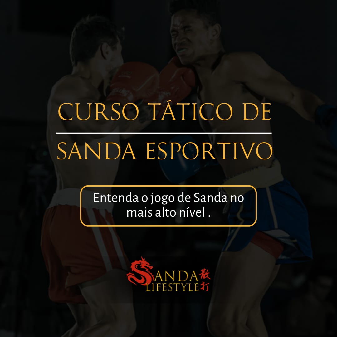 Curso Tático de Sanda ESportivo
