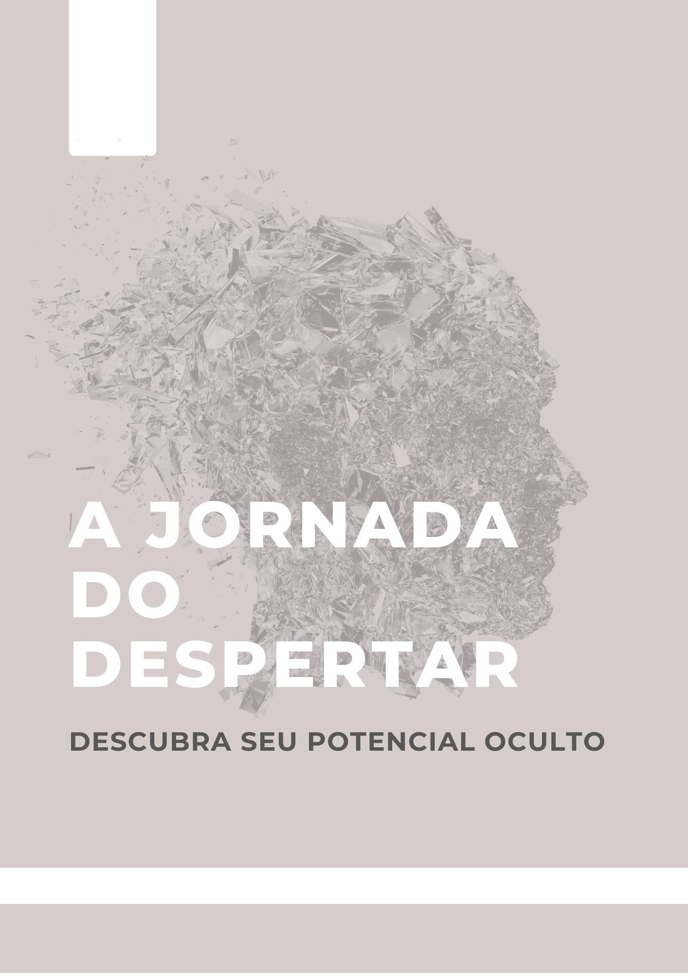 A Jornada do Despertar - Renata Montanaro | Hotmart