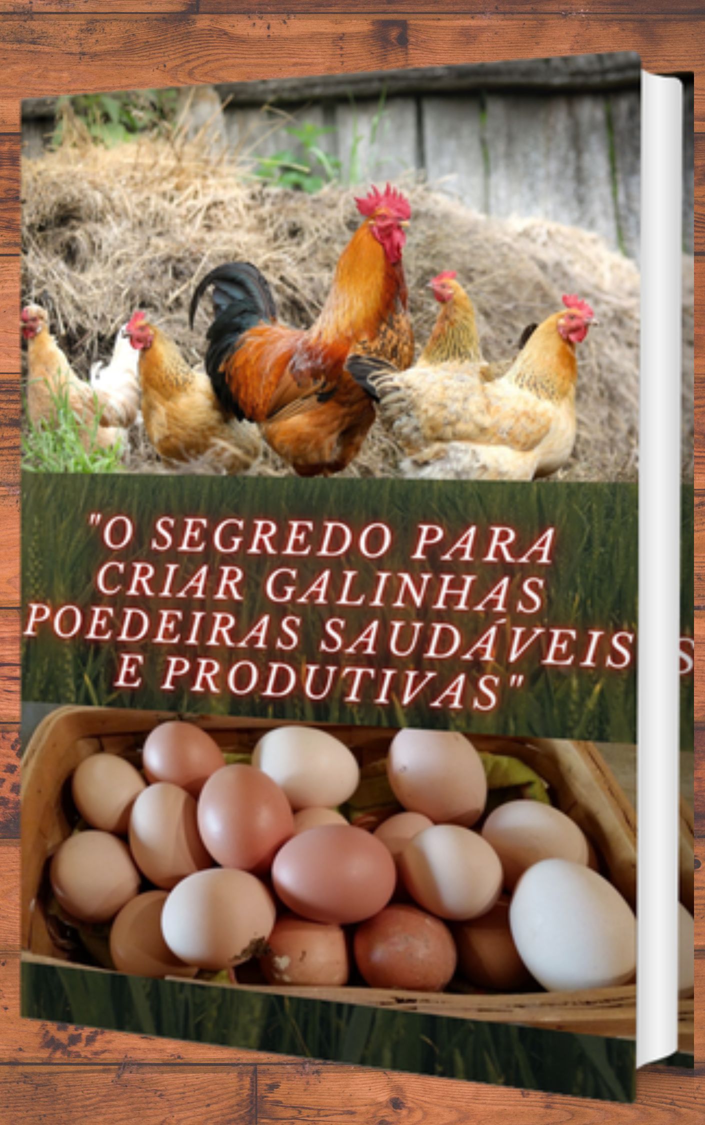 "O segredo para criar galinhas poedeiras saudáveis e produtivas"