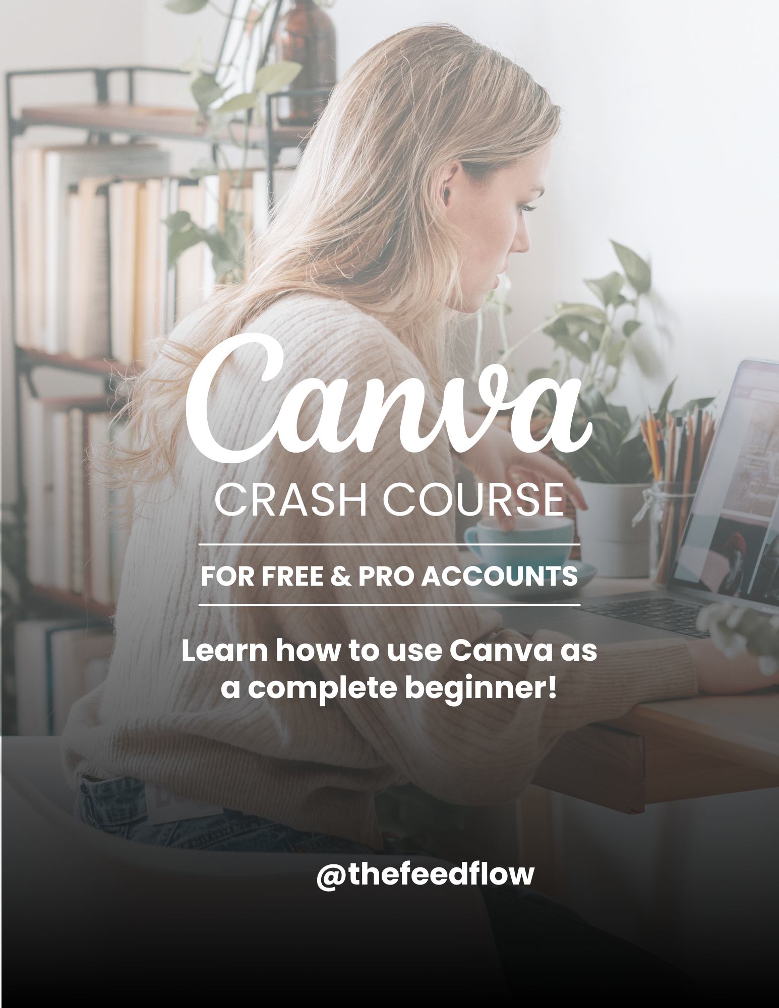 Canva Crash Course + PLR