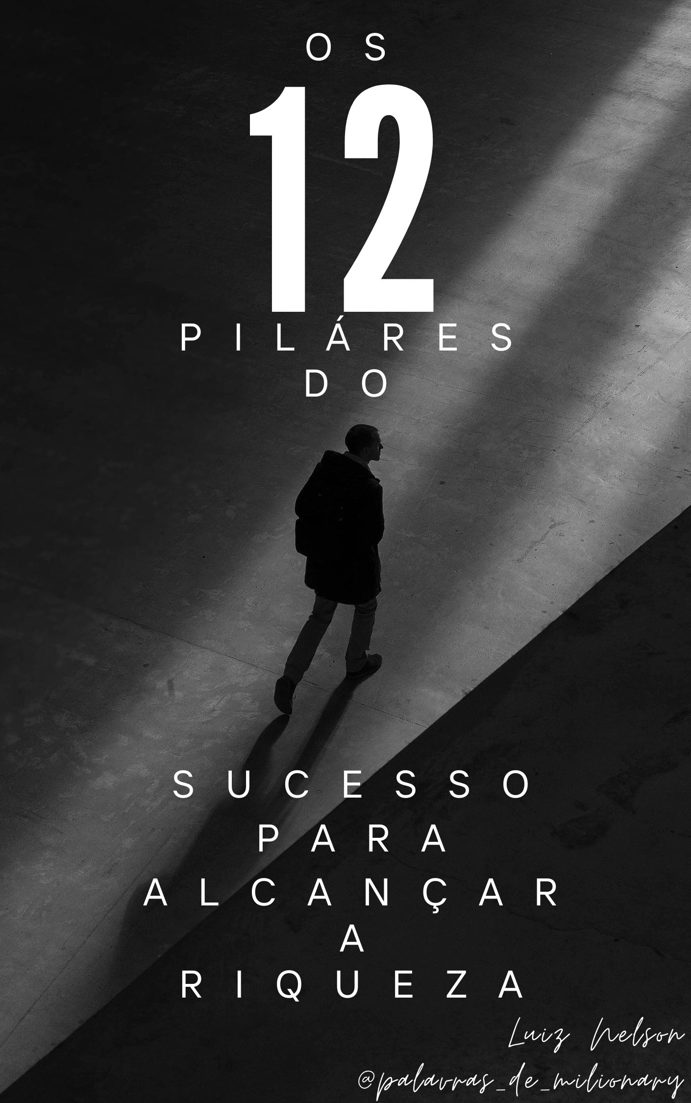 Os 12 Pilares do Sucesso para Alcançar a Riqueza - Luiz Nelson Tren...