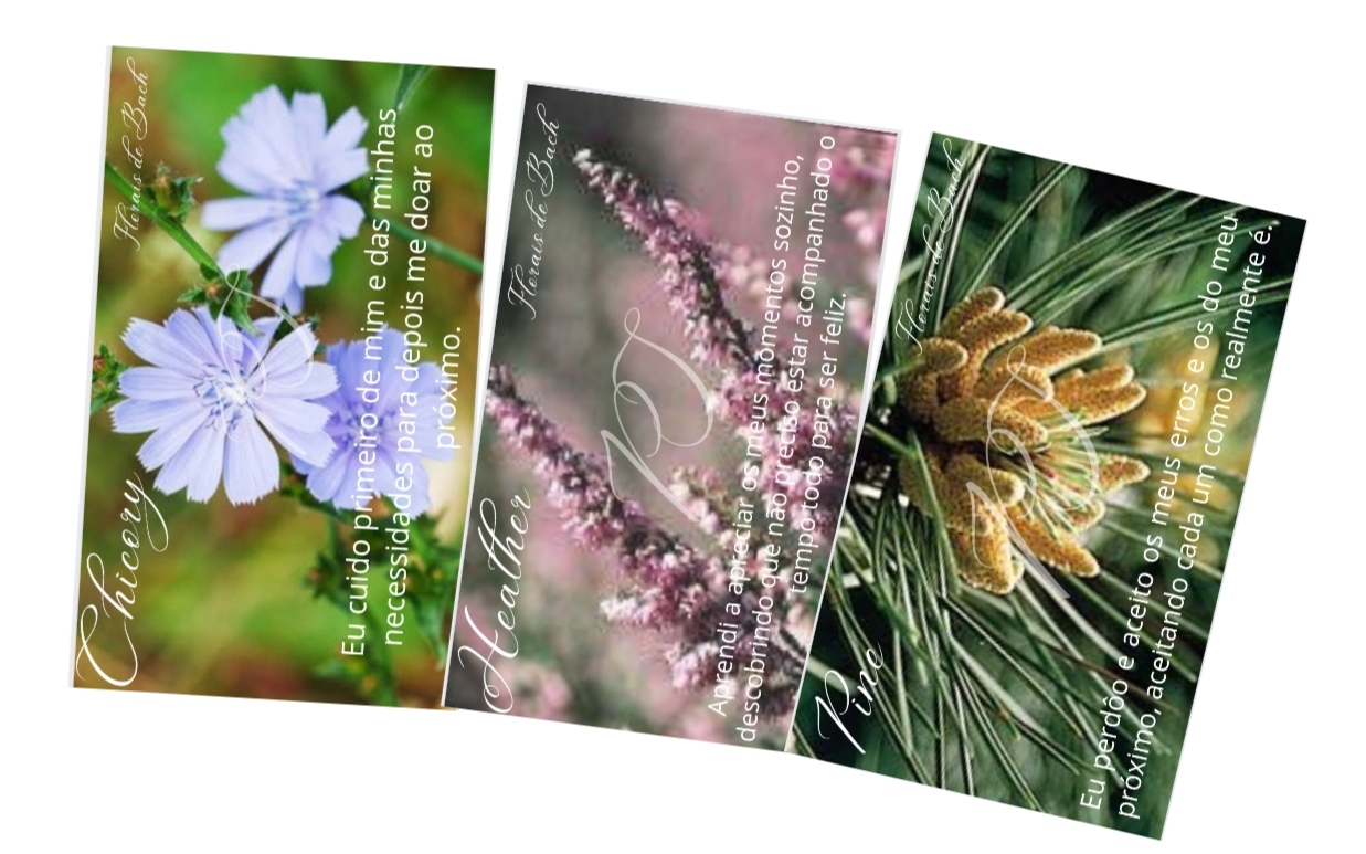 Cards florais de Bach