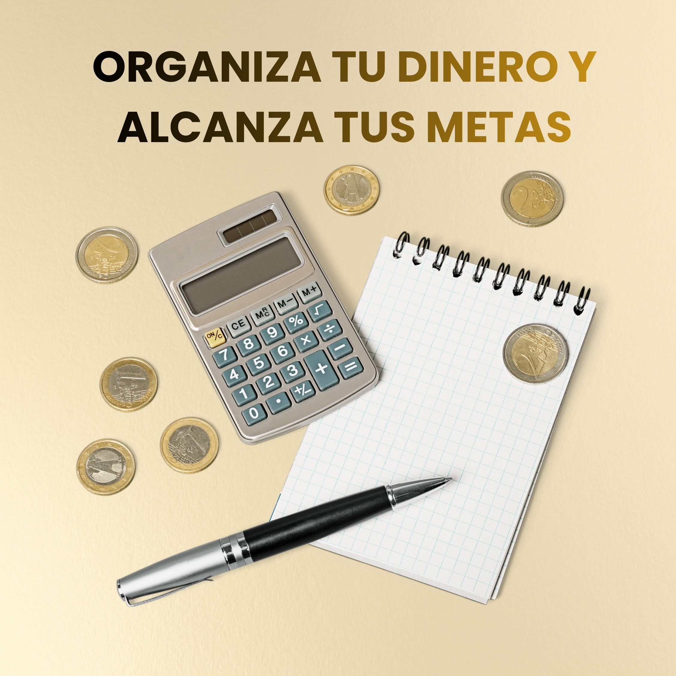 Organiza tu dinero y alcanza tus metas. - Karen Castro Albarran