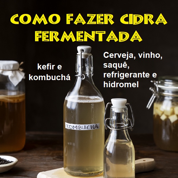Como fazer cidra fermentada, cerveja, vinho, saquê, refrigerante,