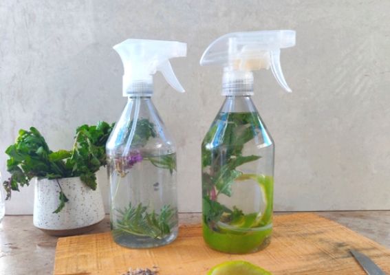 200 Recetas de Repelentes e Insecticidas Naturales - Canto de Ouro ...