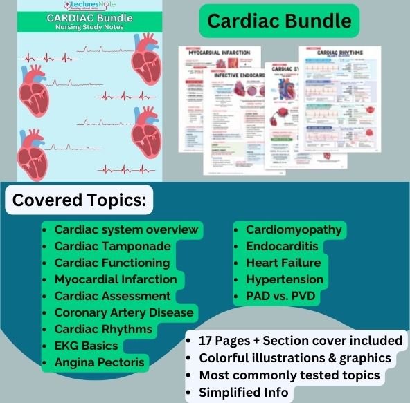 Cardiac Bundle