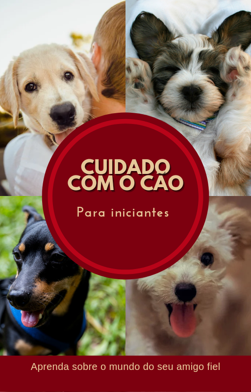 Cuidado com o Cão- Para iniciantes