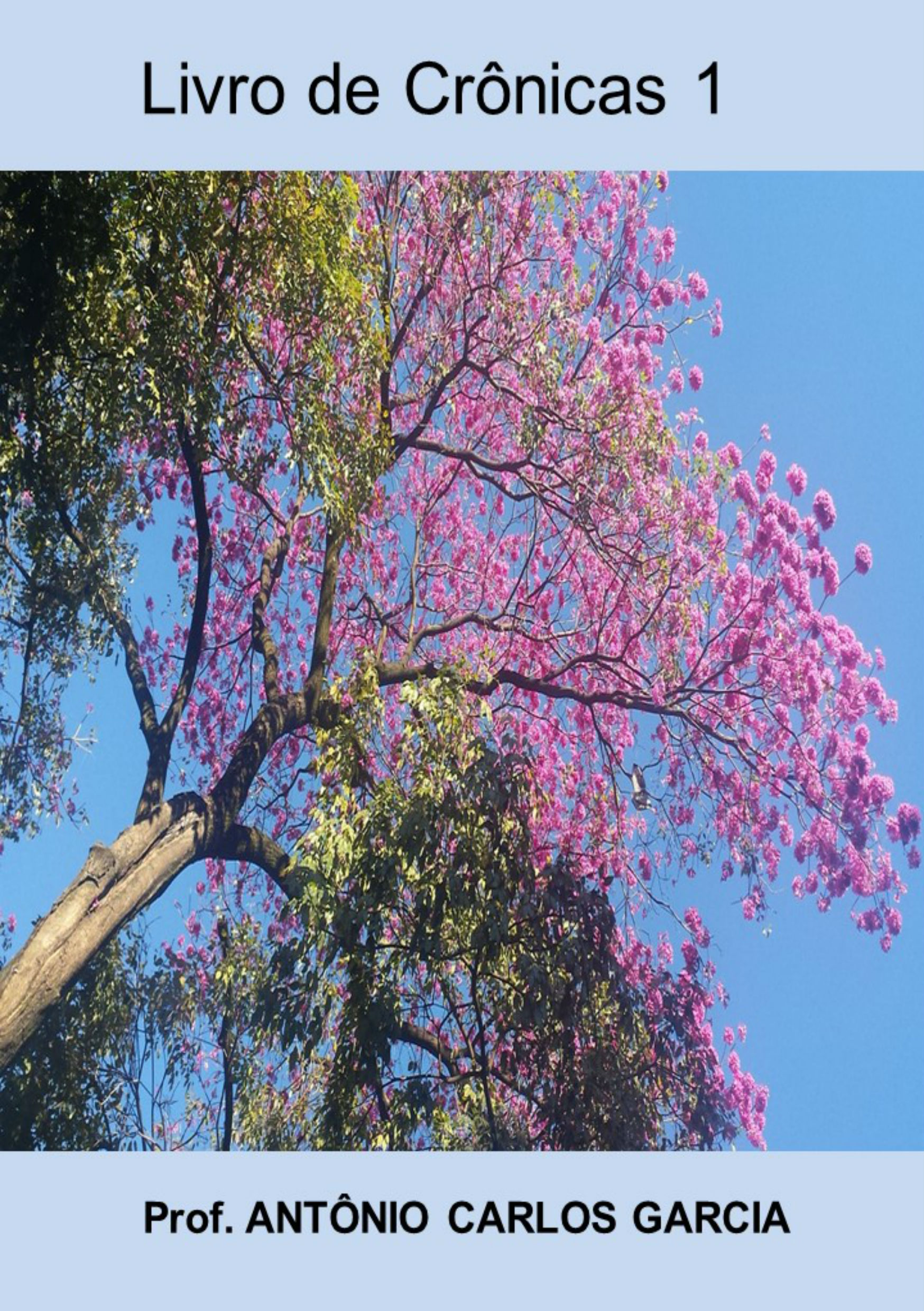 Livro de crônicas1 - ANTONIO CARLOS GARCIA | Hotmart
