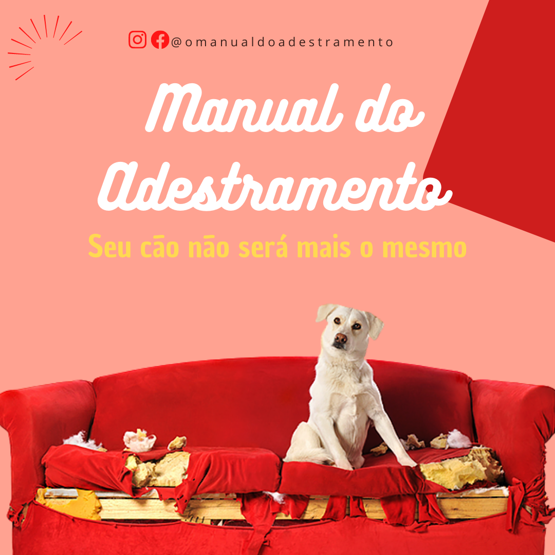 Manual Do Adestramento - Harry Andrade | Hotmart
