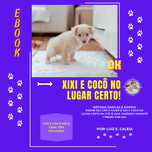 E-book xixi e cocô no lugar certo
