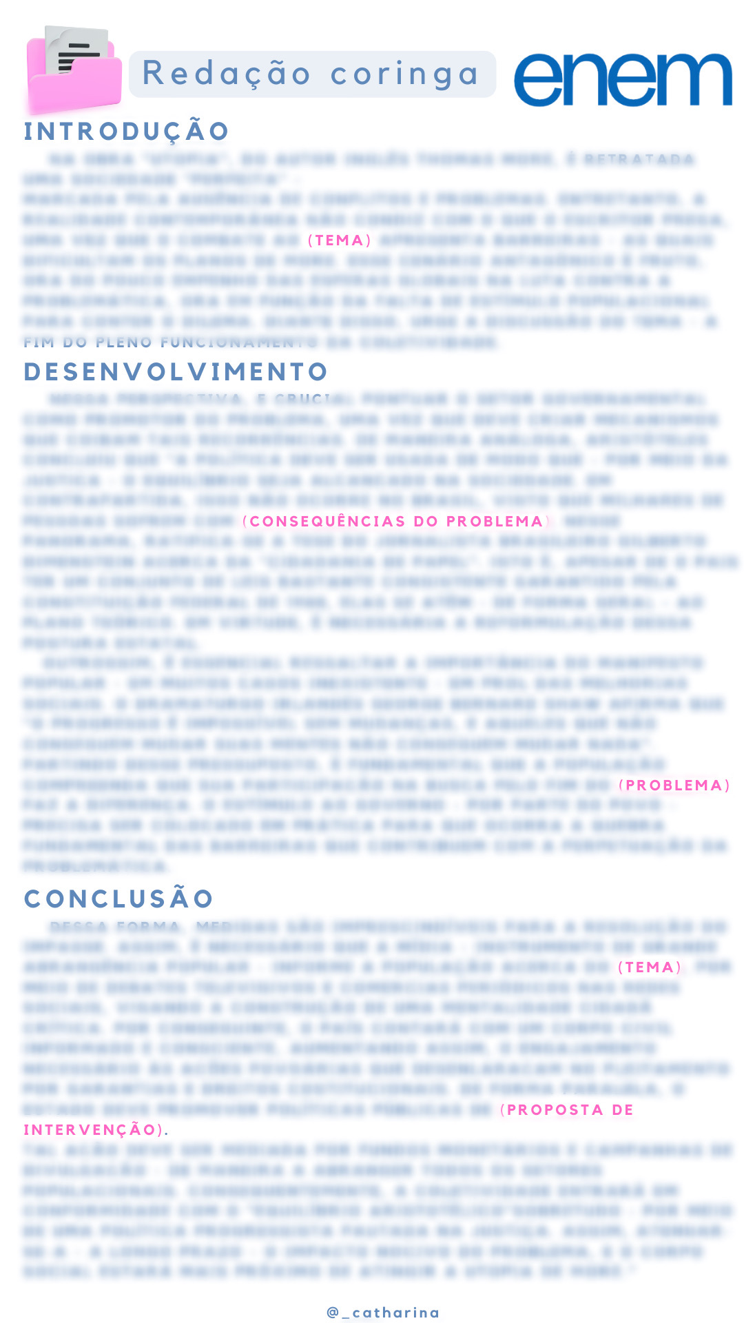 Redação Enem Nota 1000 Para Qualquer Tema - Catharina Jenisch de Fr...