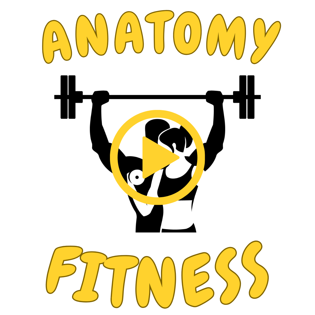 Anatomy Fitness | +1018 Gifs of Exercises - Vinicius Schneider | Ho...
