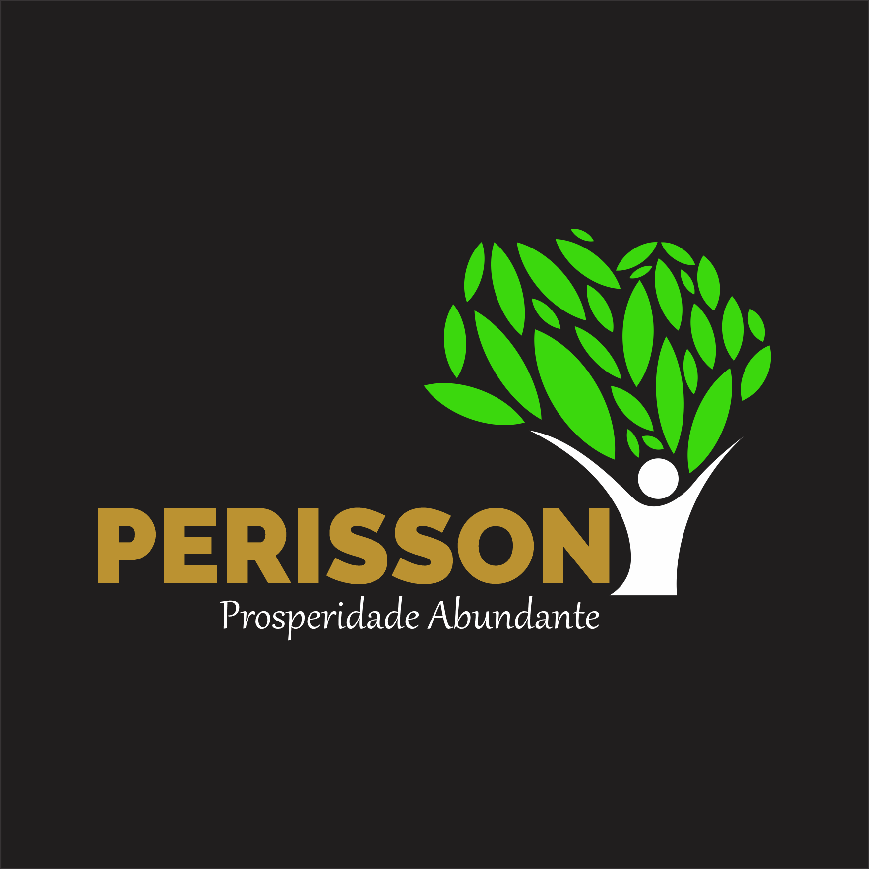 Palestra/Treinamento presencial Perissson - Prosperidade abundante