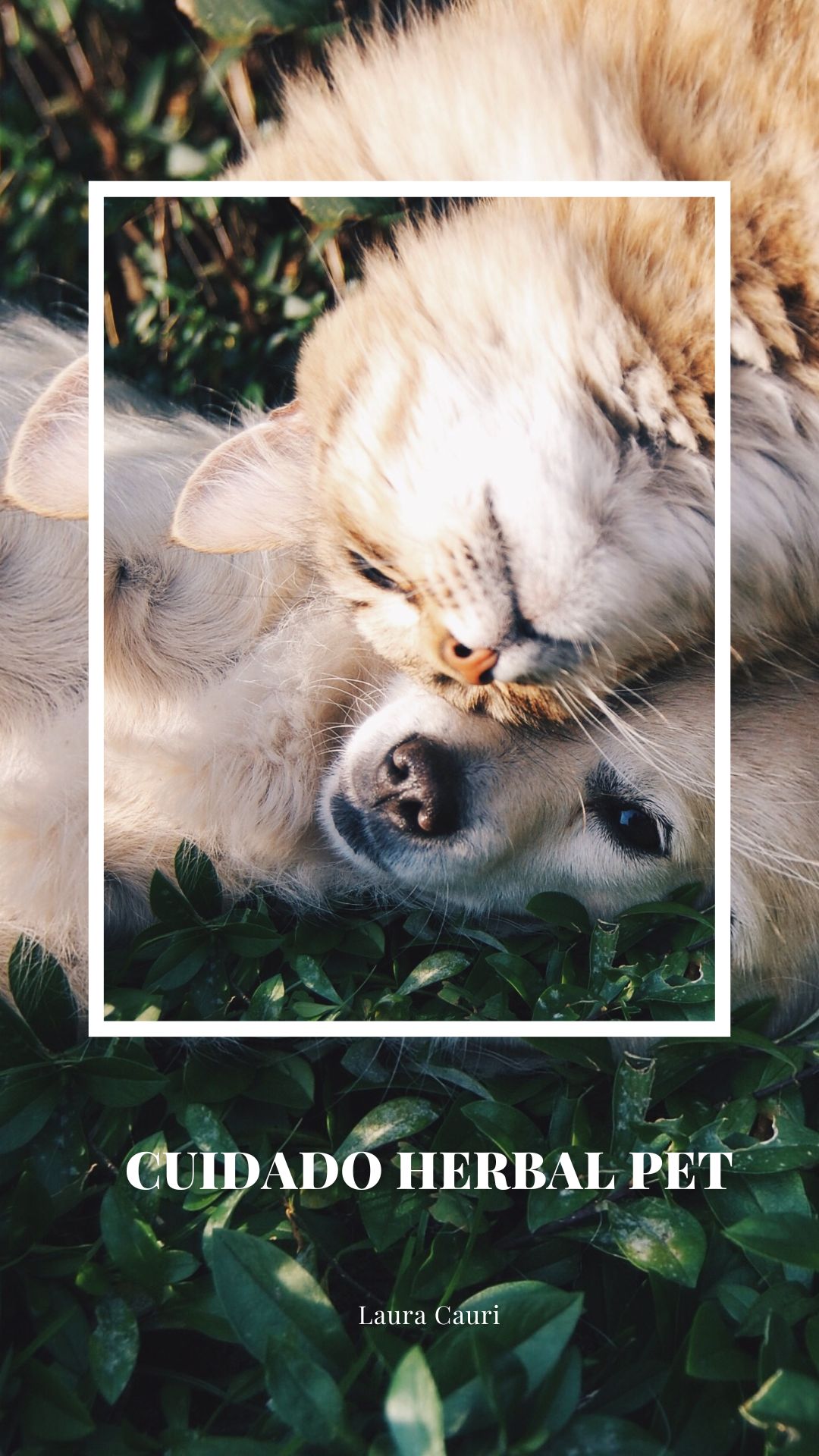 CUIDADO HERBAL PET - Laura Carranza Uribe | Hotmart