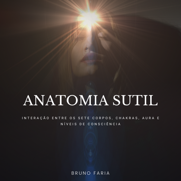 Anatomia Sutil - Interação entre os sete corpos, chakras, aura e níveis ...