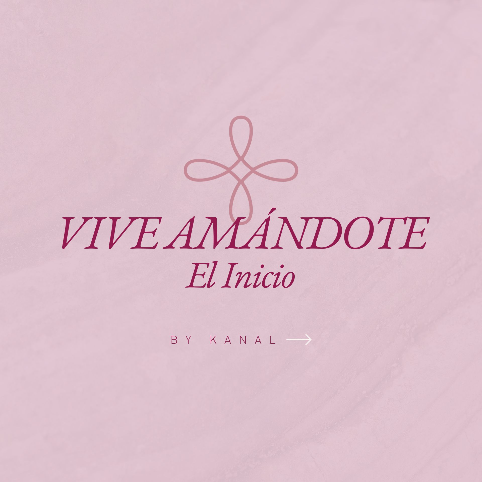 VIVE AMÁNDOTE - El inicio