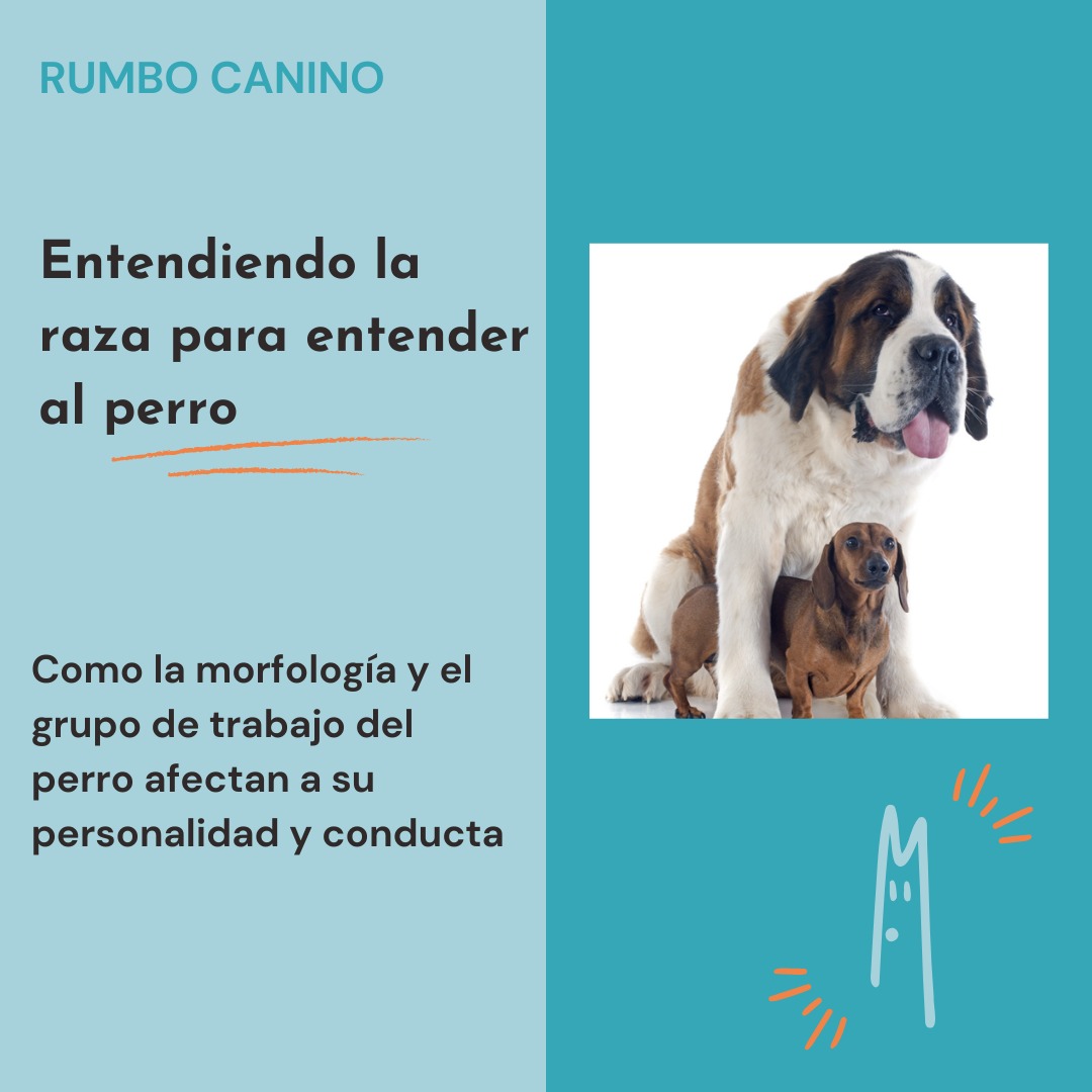 Entendiendo la raza para entender al perro - Marta Calcerrada - Rum...