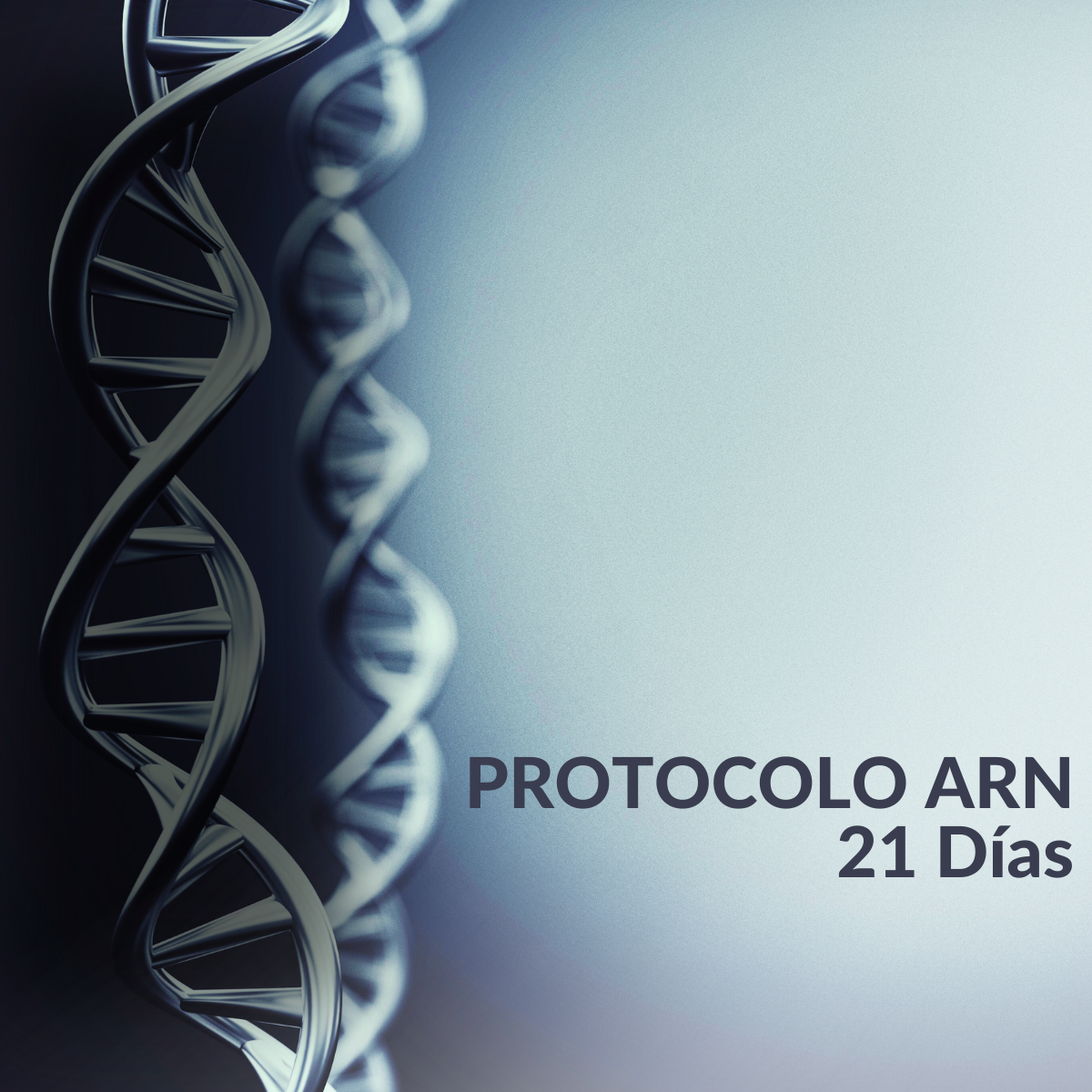 Protocolo ARN 21 Días - OXYUS HUMAN TECHNOLOGY LTDA | Hotmart