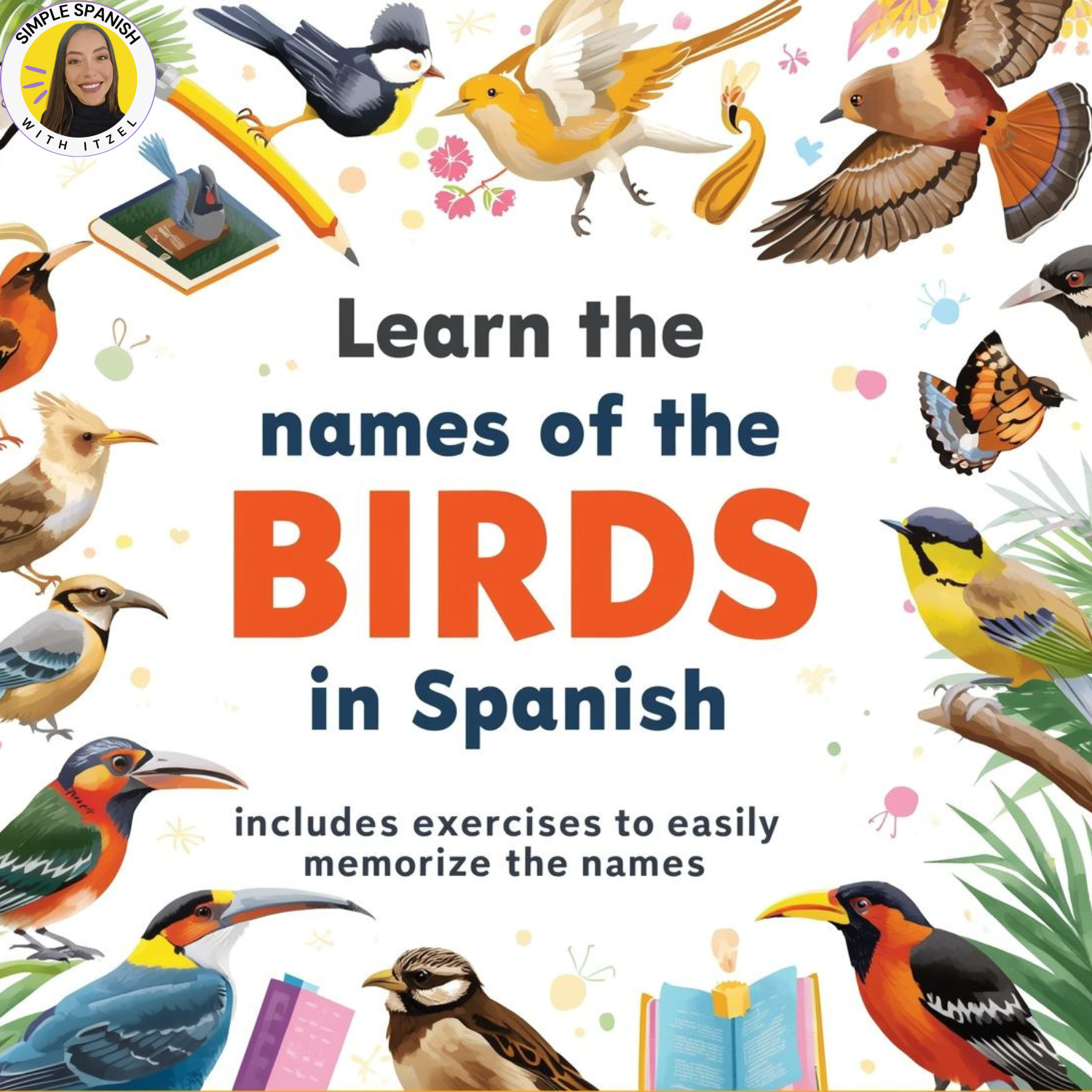 Learn the name of birds in Spanish - Aprende el nombre de las aves ...
