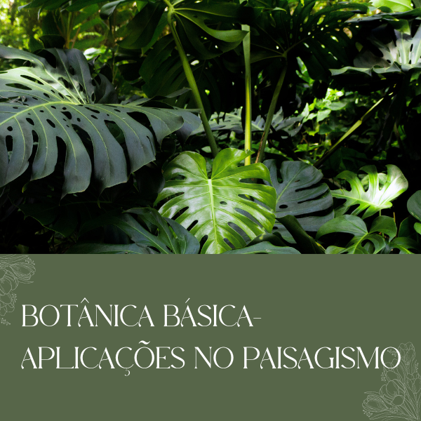Botânica Básica- Aplicações no Paisagismo - Escola de Paisagismo e ...