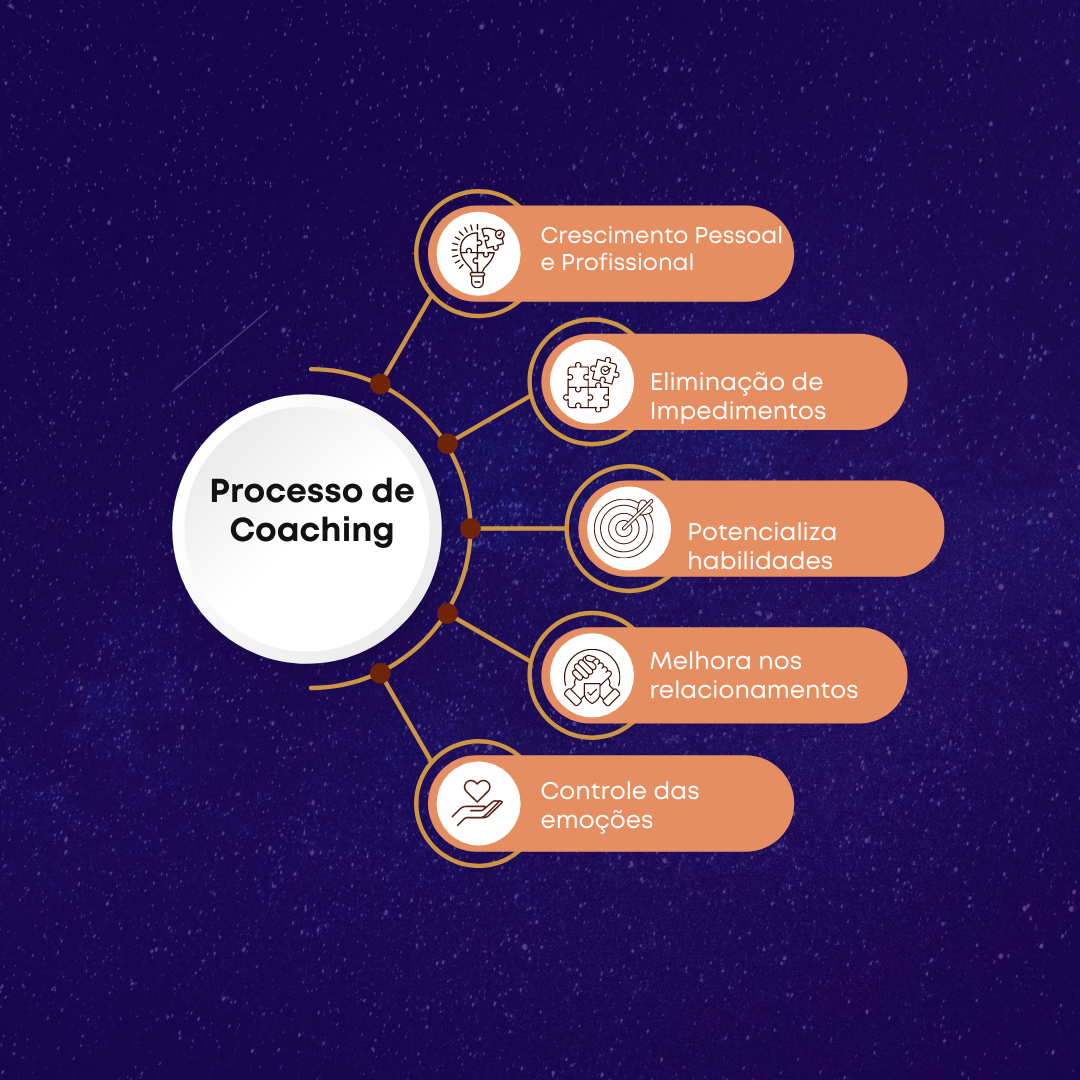 Processo de Coaching - 12 Sessões - Valkiria Macedo Cabral Costa