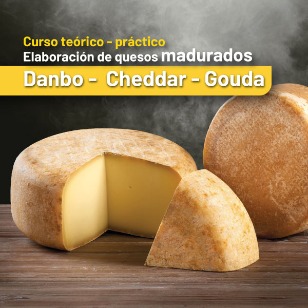 Curso de Quesos Madurados: Danbo, Gouda, Cheddar - Colonia Láctica ...