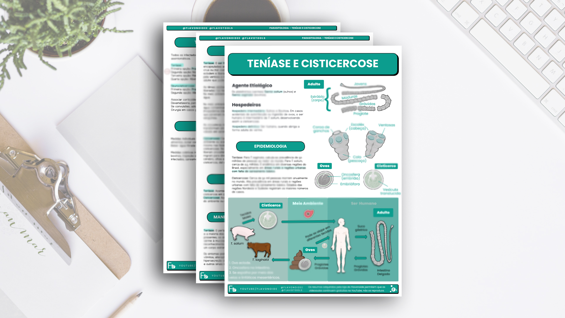 Resumo: Teníase e Cisticercose (Parasitologia) - Flavia Teixeira Ma...