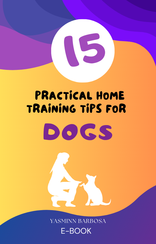 15 Practical Home Training Tips for Dogs