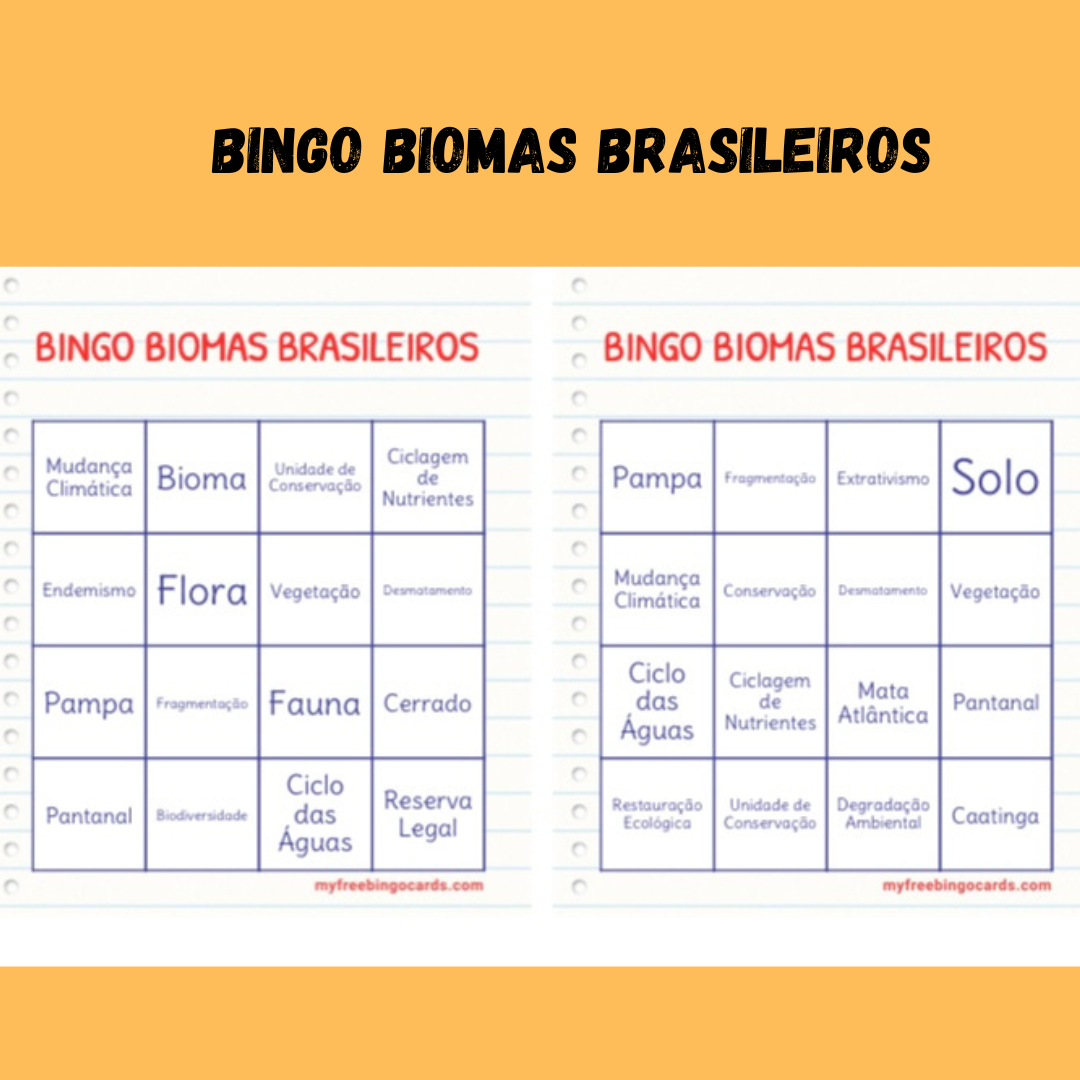 BINGO DE GEOGRAFIA BIOMAS BRASILEIROS - MD PEDAGÓGICO | Hotmart