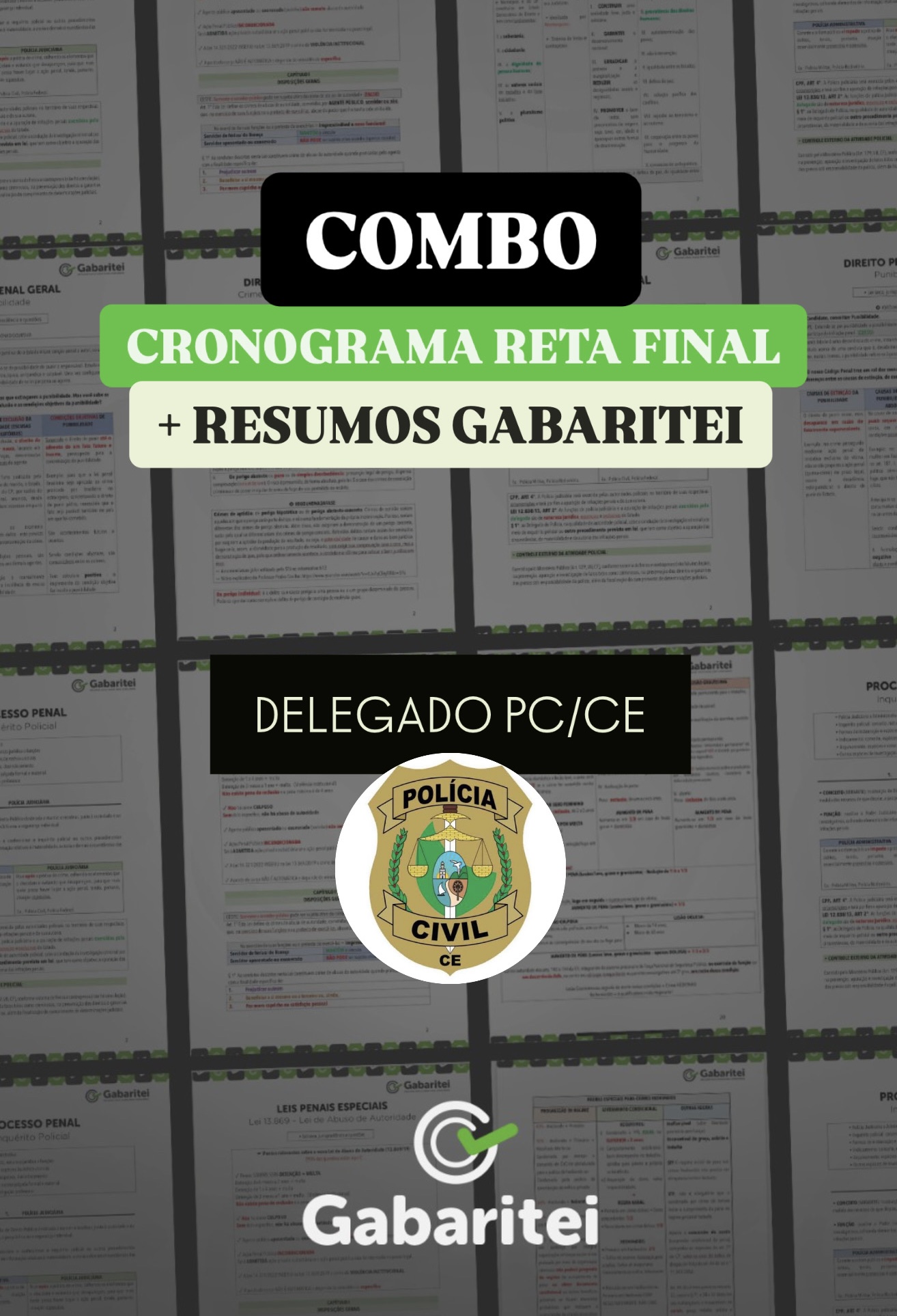 COMBO - Cronograma RETA FINAL PC/CE + Resumos Gabaritei PPCA - Raya...