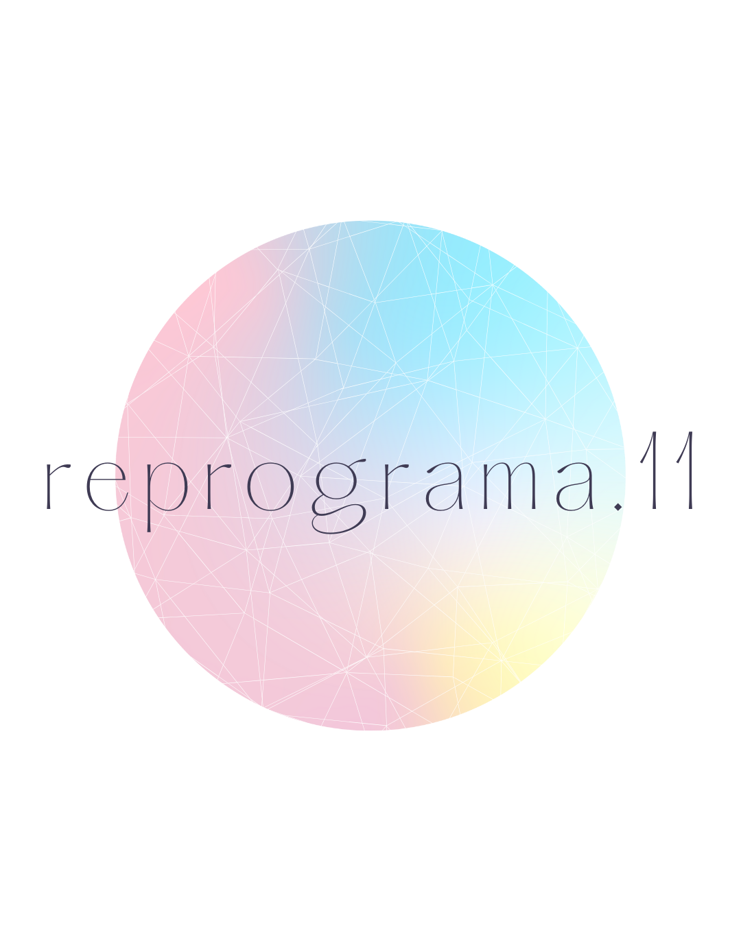 REPROGRAMA.11