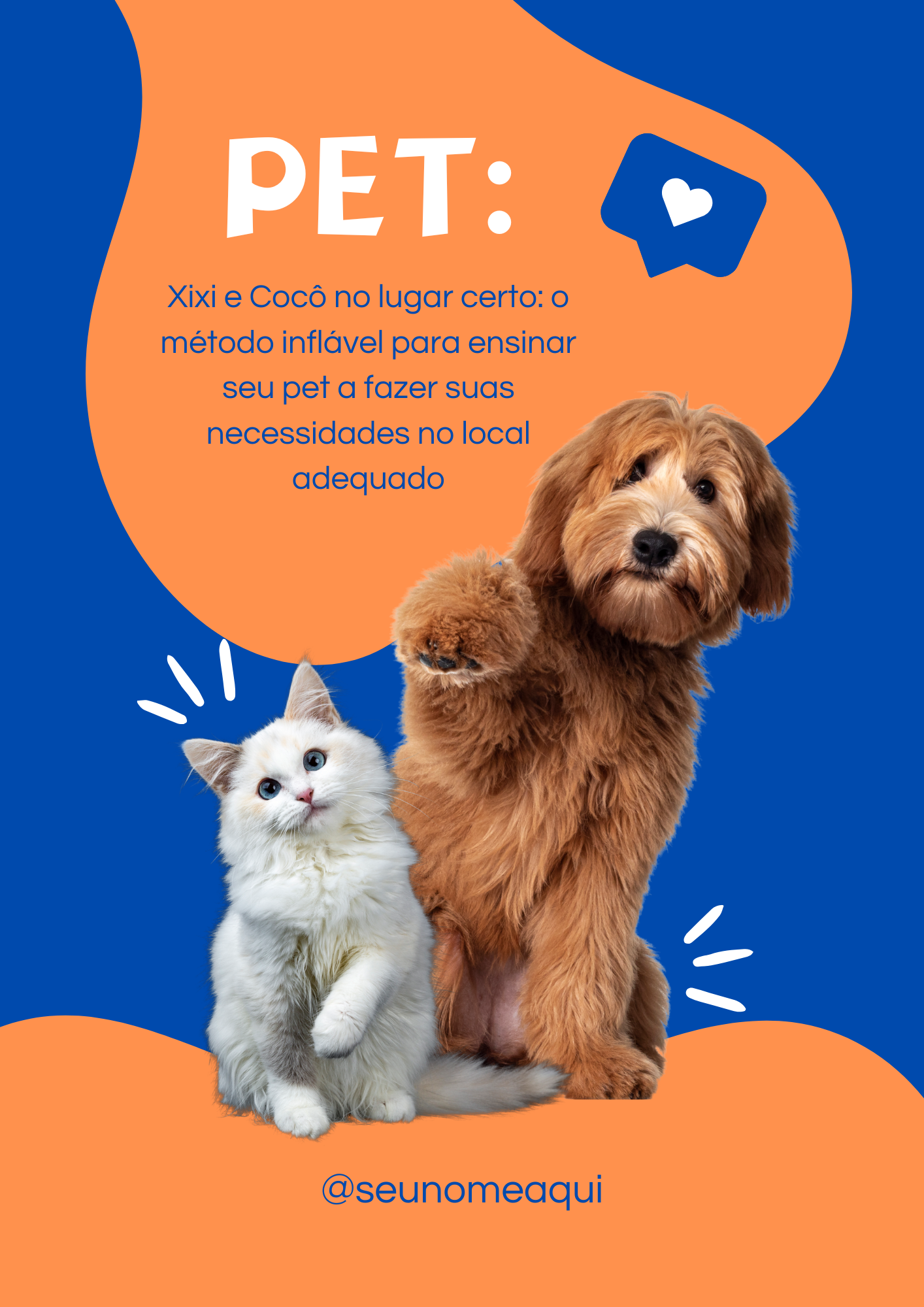 PET - Carlos Araujo da Silva | Hotmart