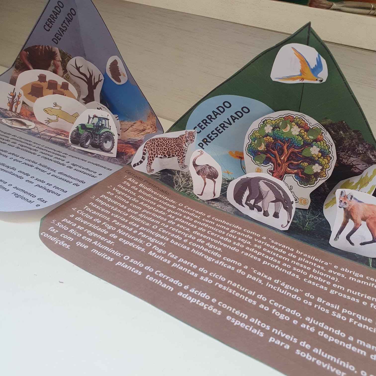 TRIORAMA CERRADO PRESERVADO/DEVASTADO - Ciências com amor | Hotmart